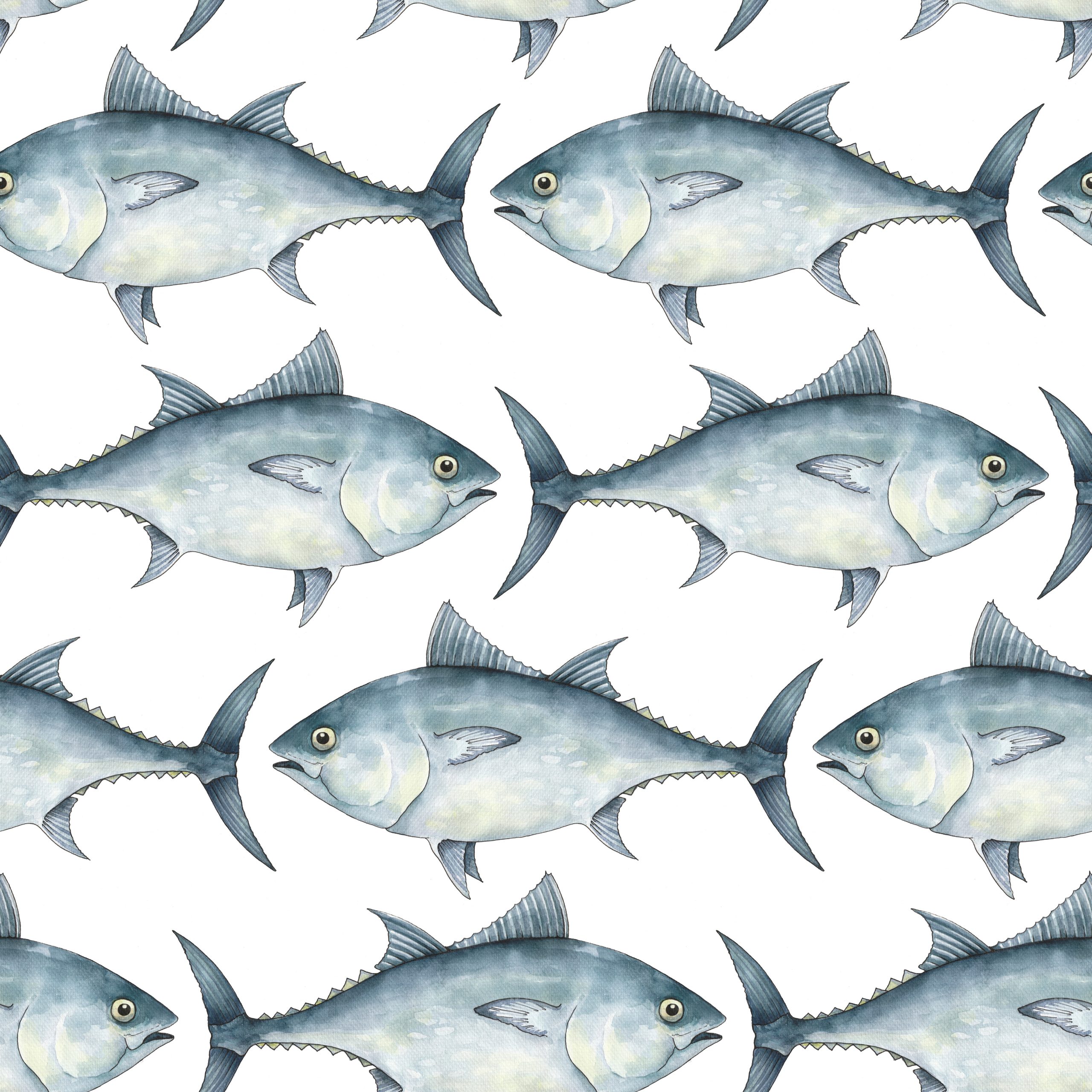 Der Tuna Turbo aus Düsseldorf - ZOO:M Magazin Düsseldorf